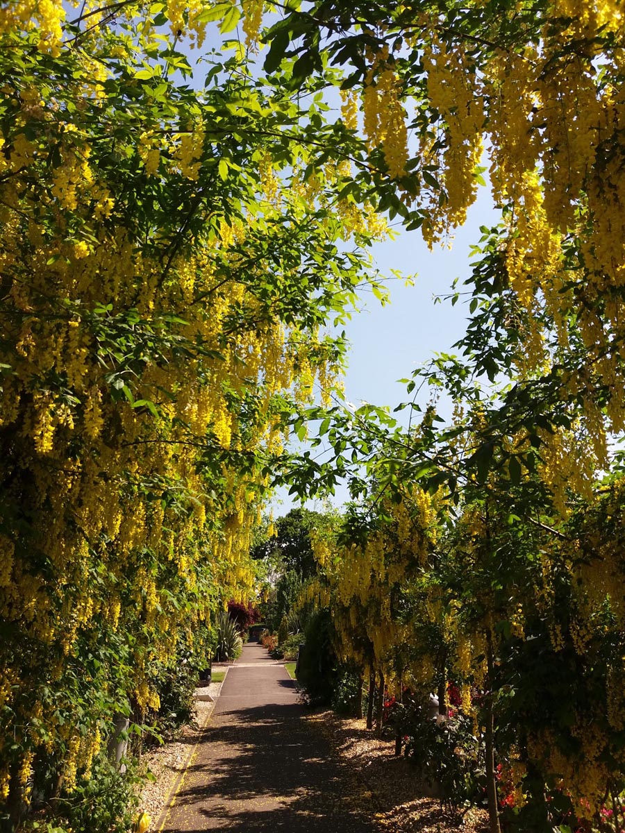 ᐅ Gwent Crematorium in Croesyceiliog Cwmbran (Gwent NP44 2BZ) • Address ...