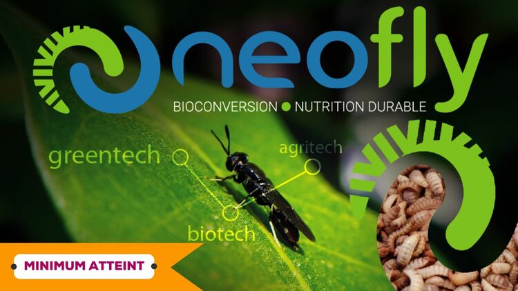 Invest in Pacific | NEOFLY