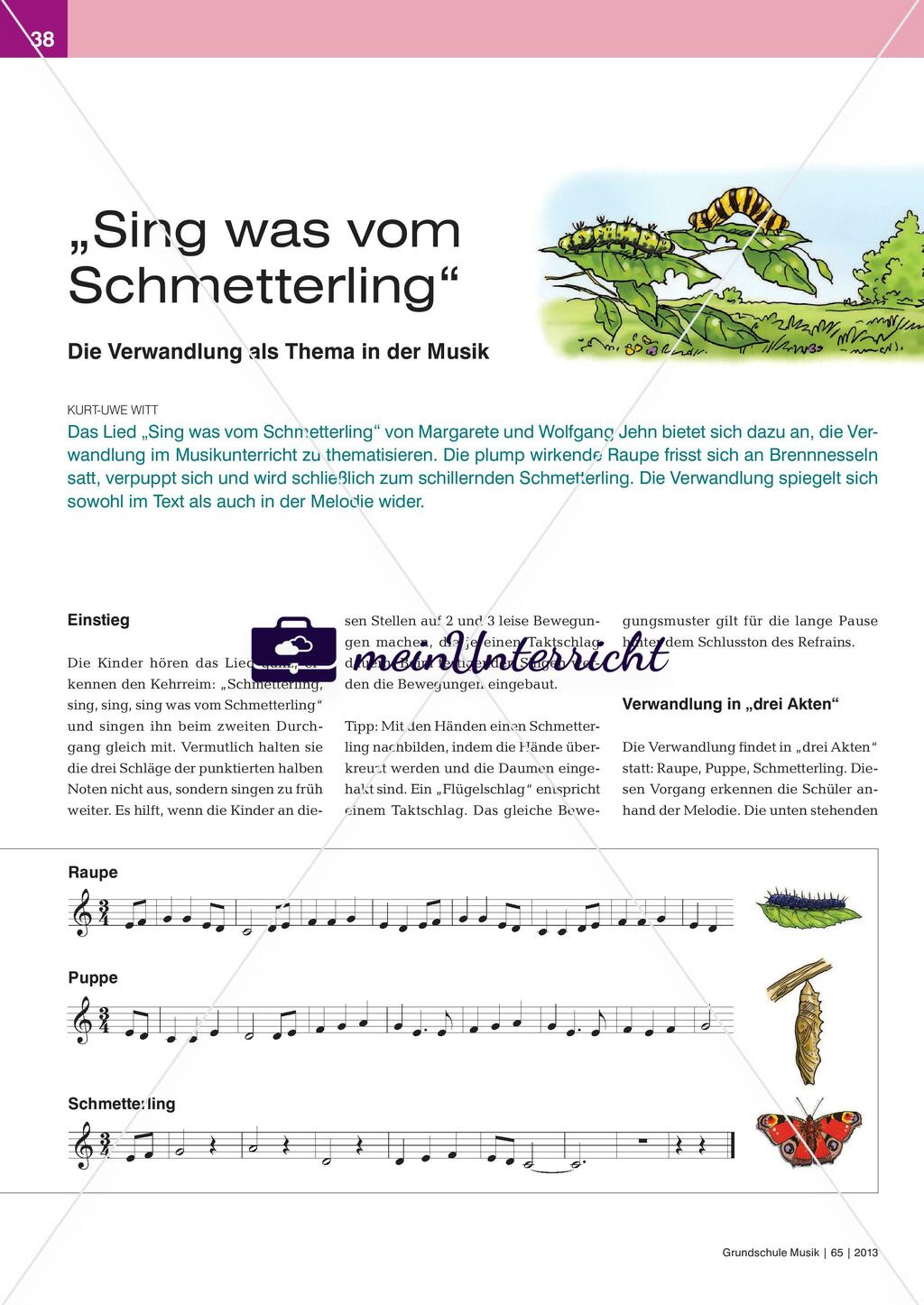 „Sing was vom Schmetterling“ - Die Verwandlung als Thema in der Musik ...