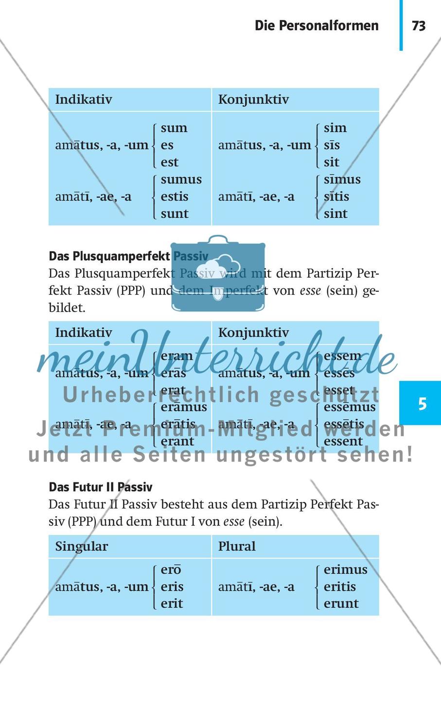 Das Verb - meinUnterricht