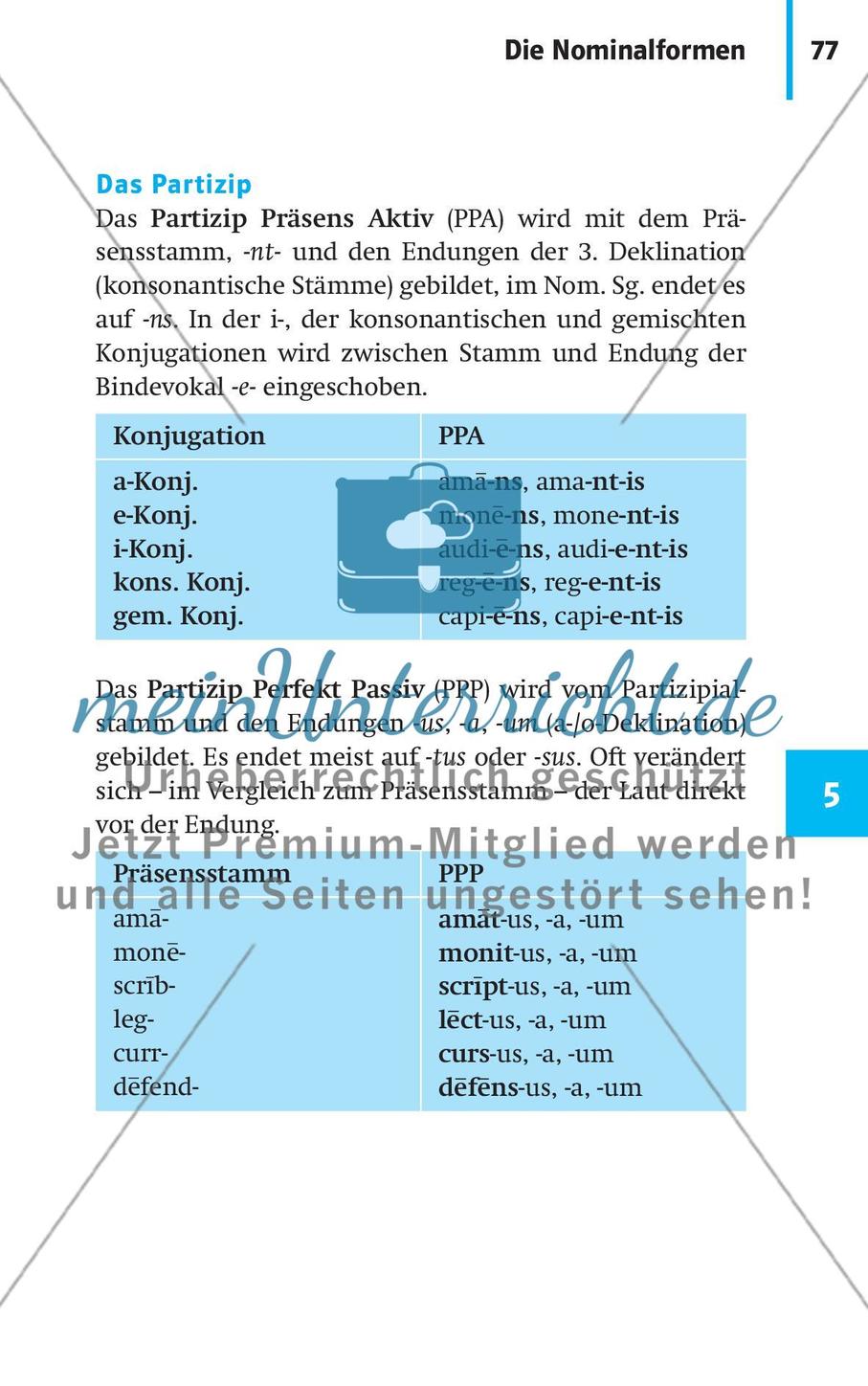 Das Verb - meinUnterricht