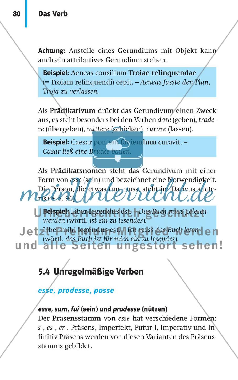 Das Verb - meinUnterricht