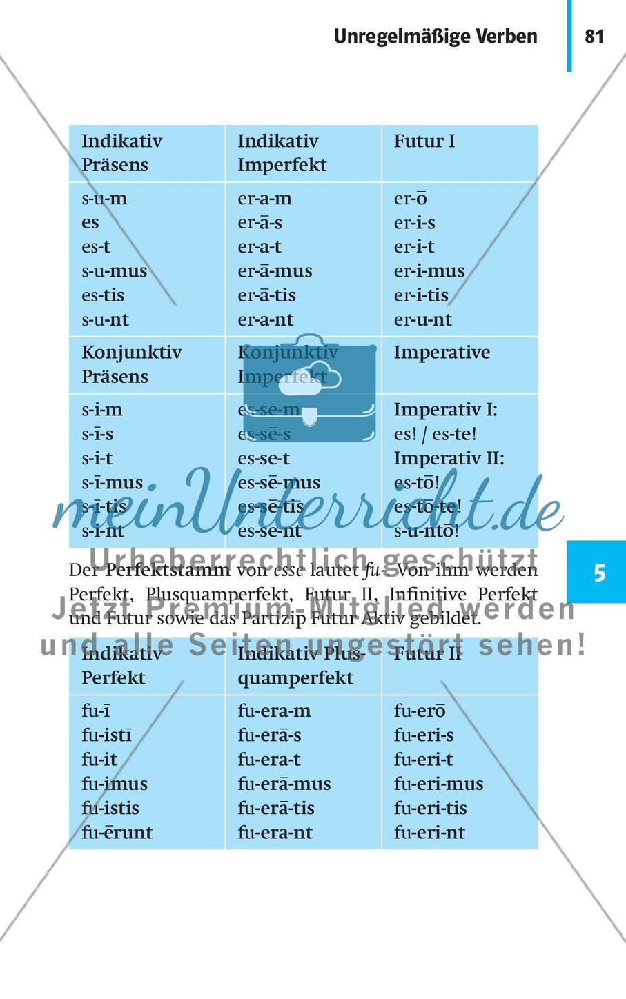 Das Verb - meinUnterricht