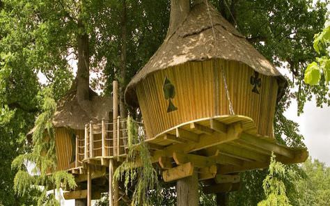 Boomhut vakantie Nederland