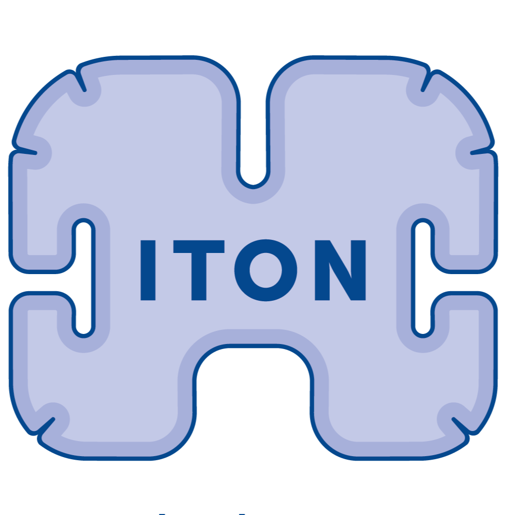 Stichting ITON Neurorevalidatie deel 1: Probleemanalyse-2024