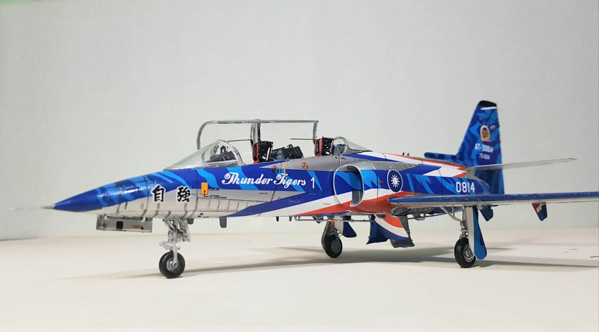 Thunder Tiger by 陳漢鏞 - The Art of Modeling Club