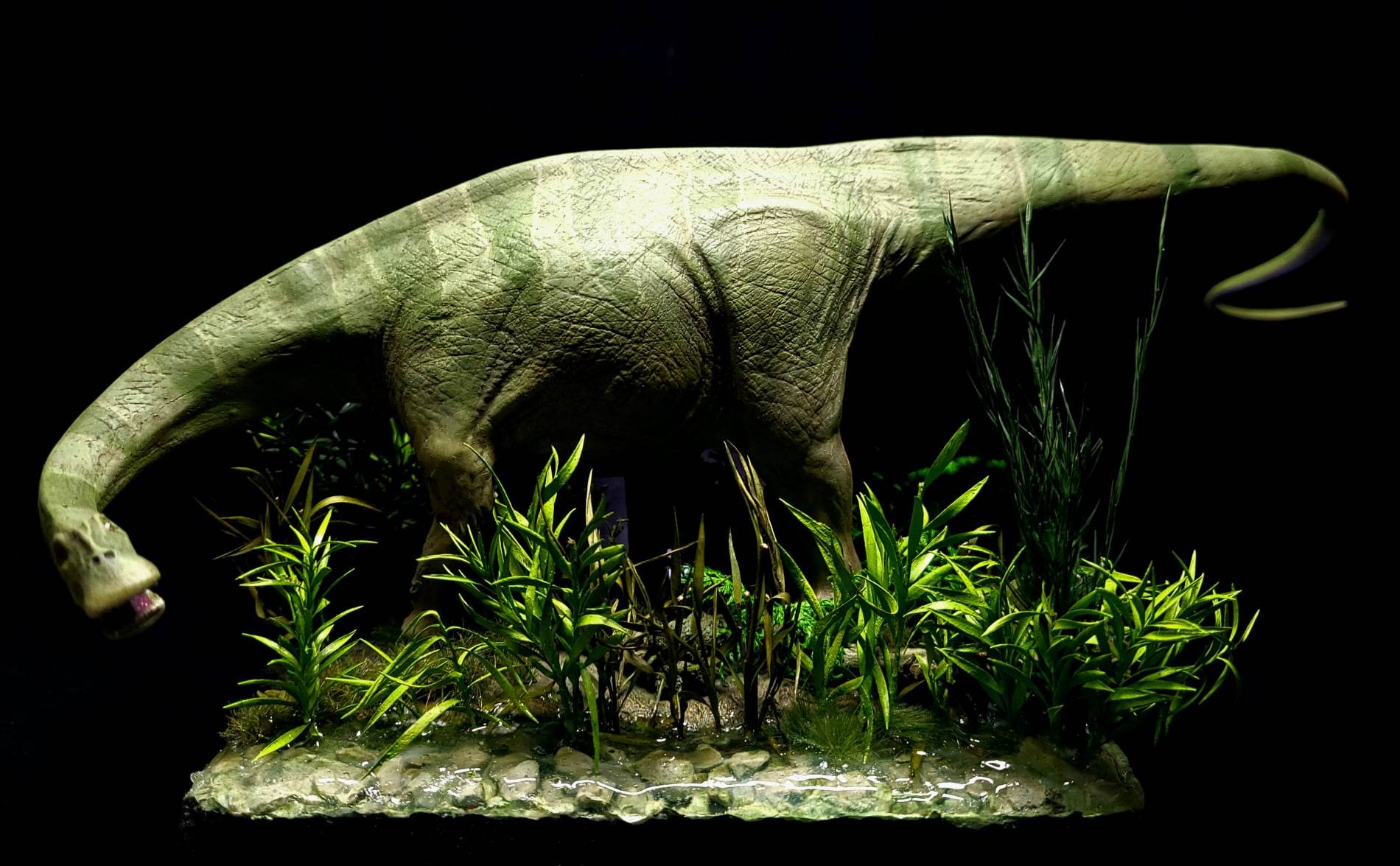 Nigersaurus by Paolo Solvi - The Art of Modeling Club