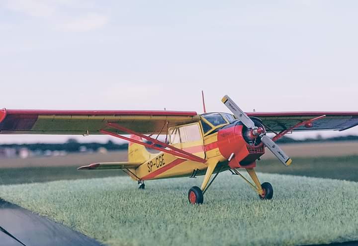 Pzl-101 Gawron by Tomek Jatczak - The Art of Modeling Club
