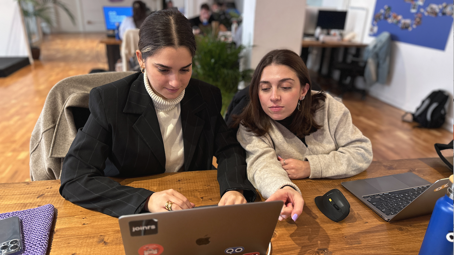 Deloitte: The Project Manager’s Playbook: strategies and tools for ...