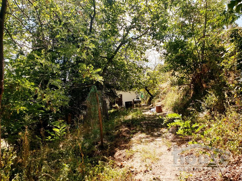 Plac,BANSTOL,BANSTOL20000m2, 412000€ , ID: 7080759