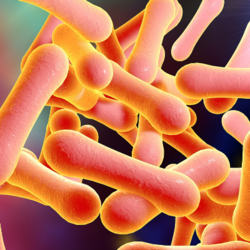 Eritrasma: Cos'è, Sintomi e Cure | Pazienti.it