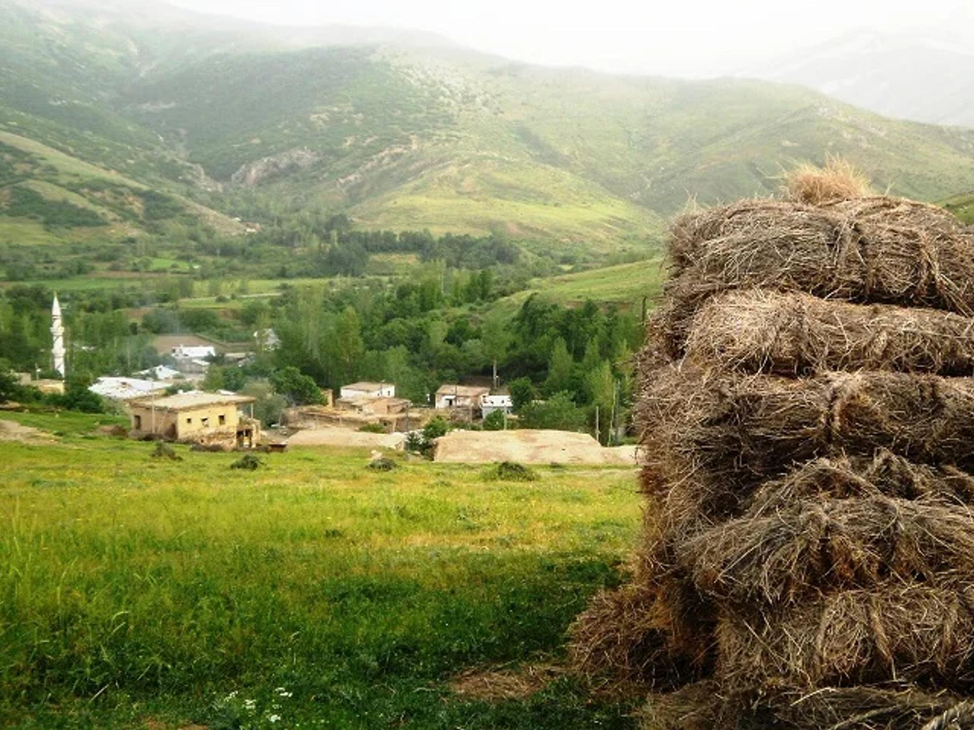 The Traditional Cheese in Kavar | Summer Homes