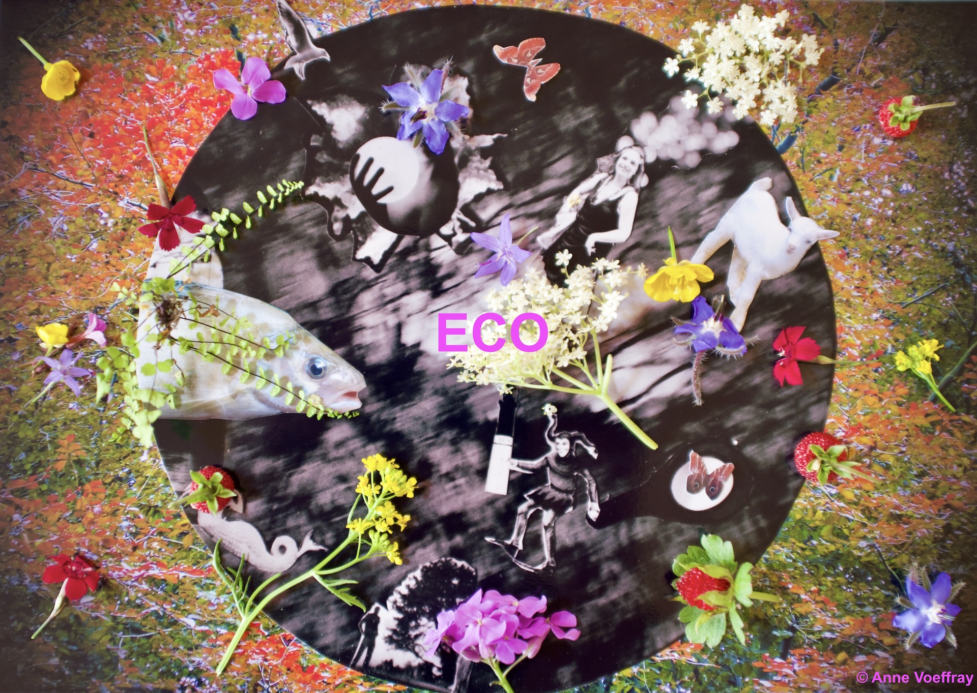 Vers un réenchantement du système de santé grâce à la crise écologique?