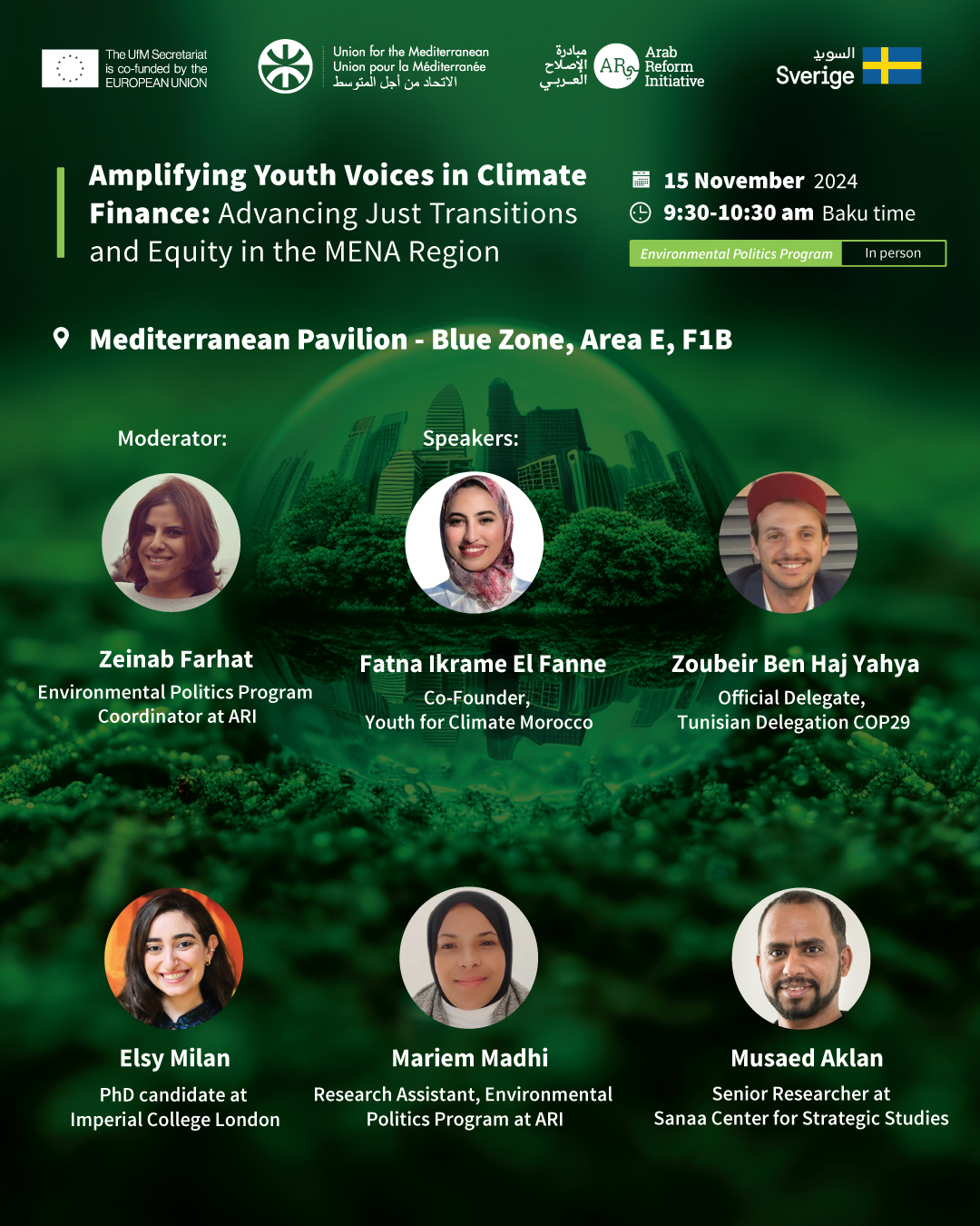 Amplifying Youth Voices in Climate Finance: Advancing Just Environmental Transition and Equity ...