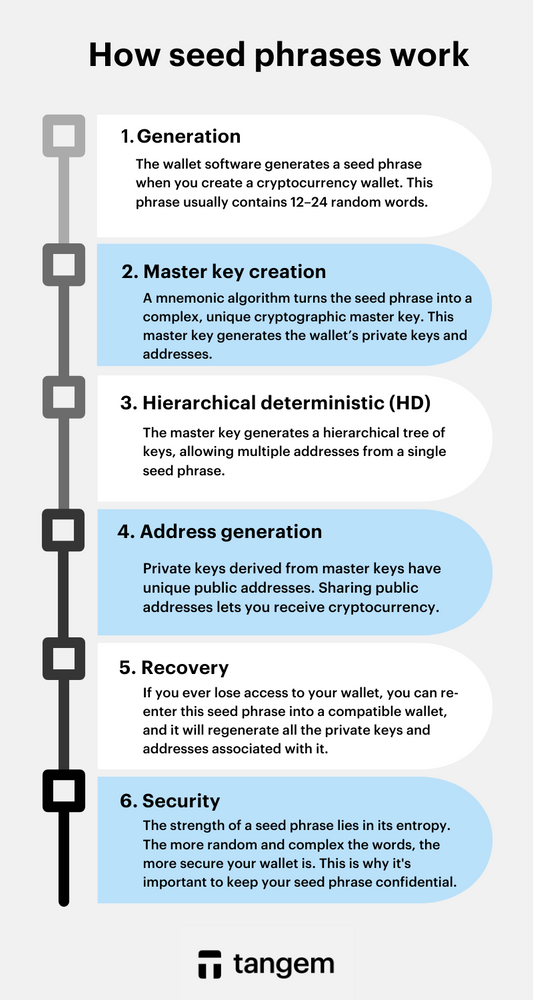 Everything About Seed Phrases in Tangem Wallet | FAQs | Tangem Blog