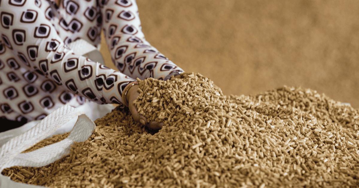 Ten Damme | Holzpellets für Kaminöfen - nachhaltig und CO2-neutral