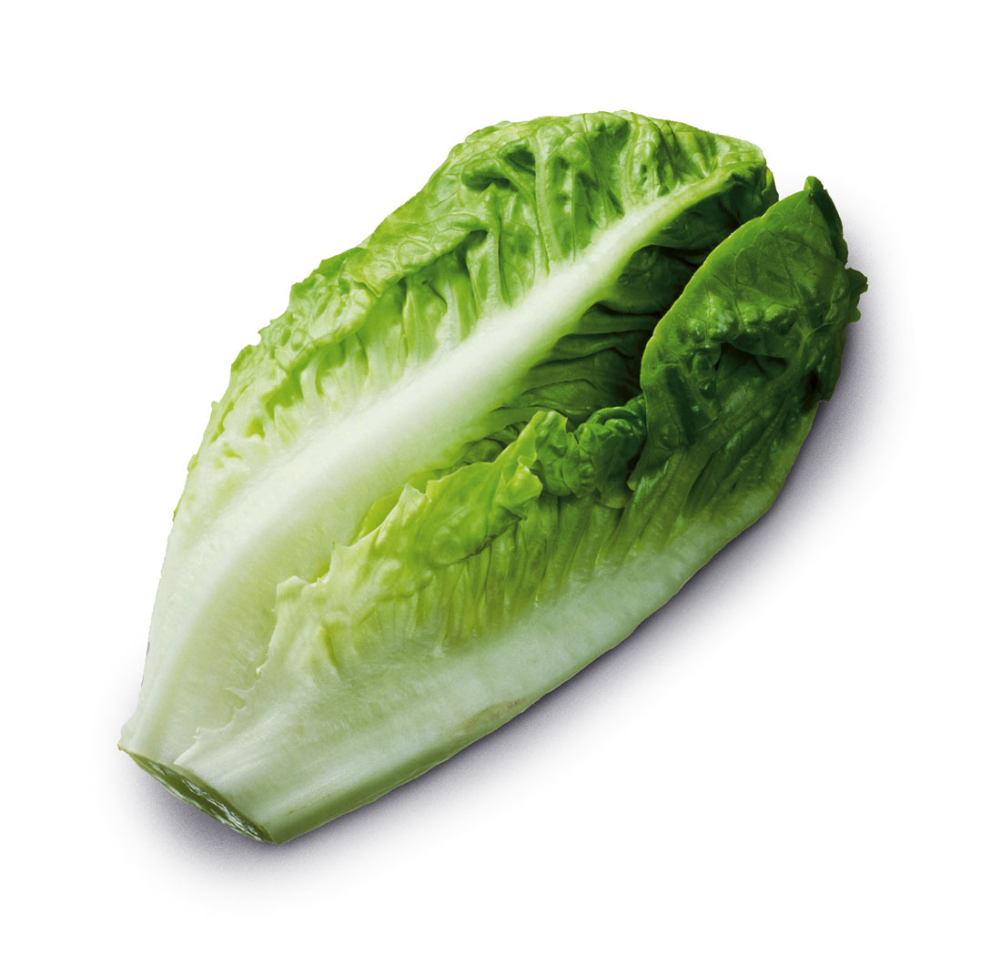 Romana-sla - Verse Oogst