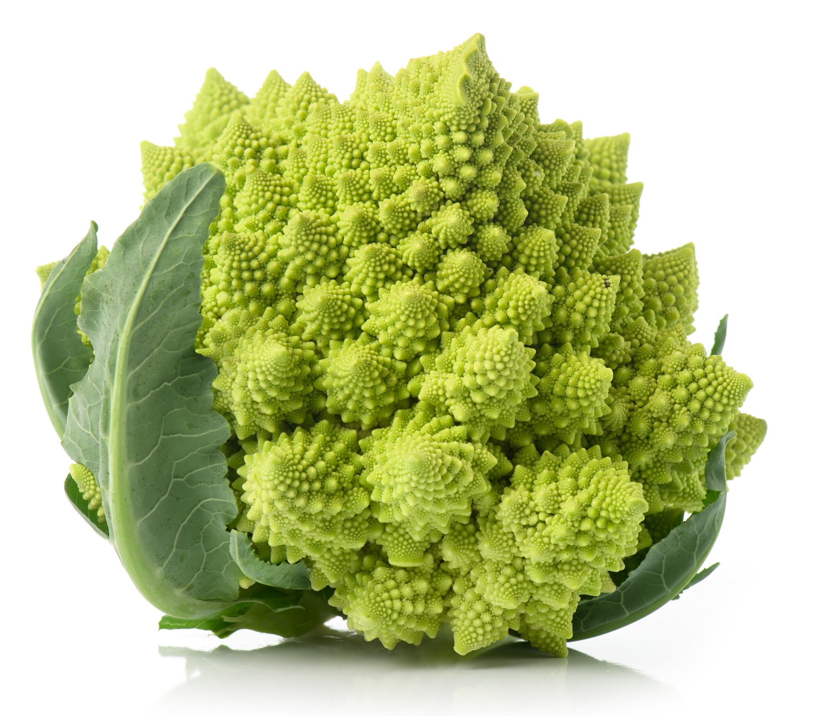 Romanesco - Verse Oogst