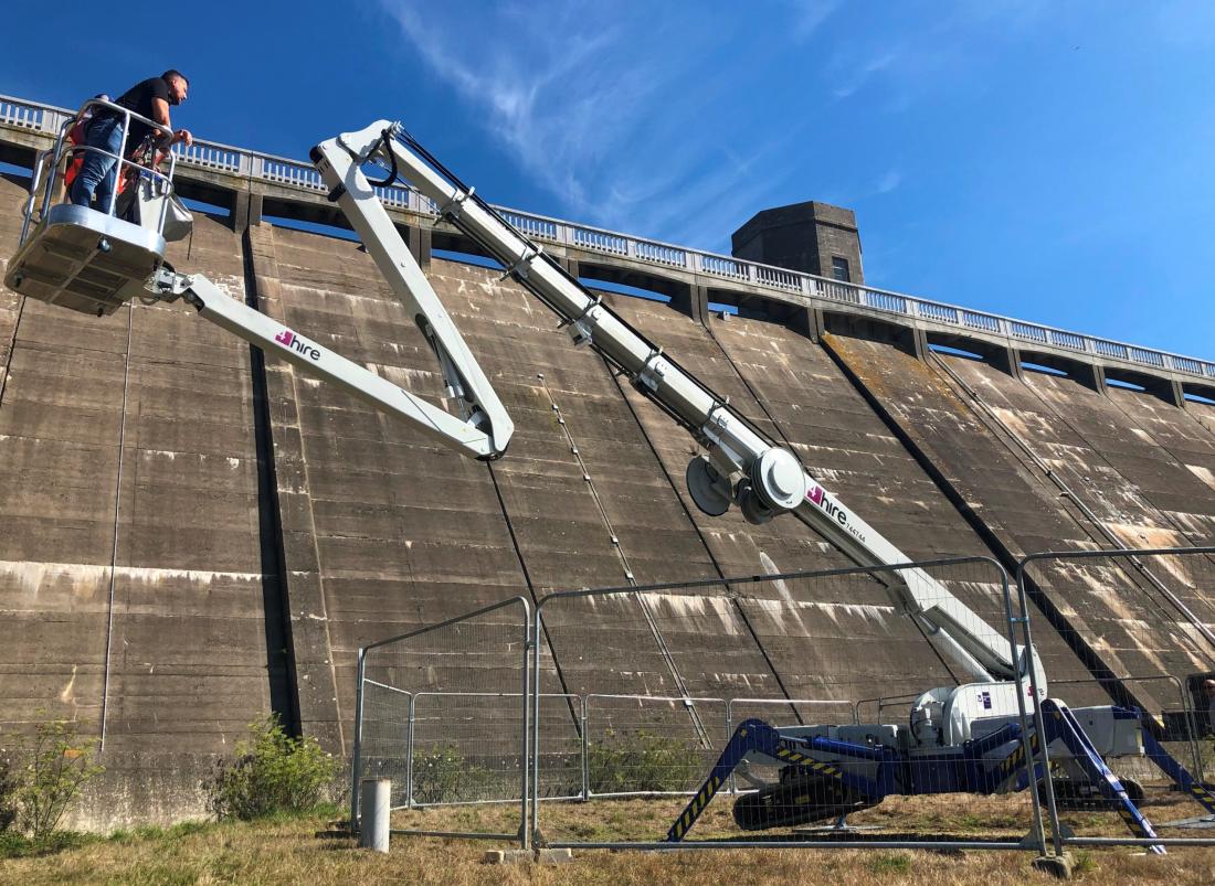 First Falcon in Jersey | Vertikal.net