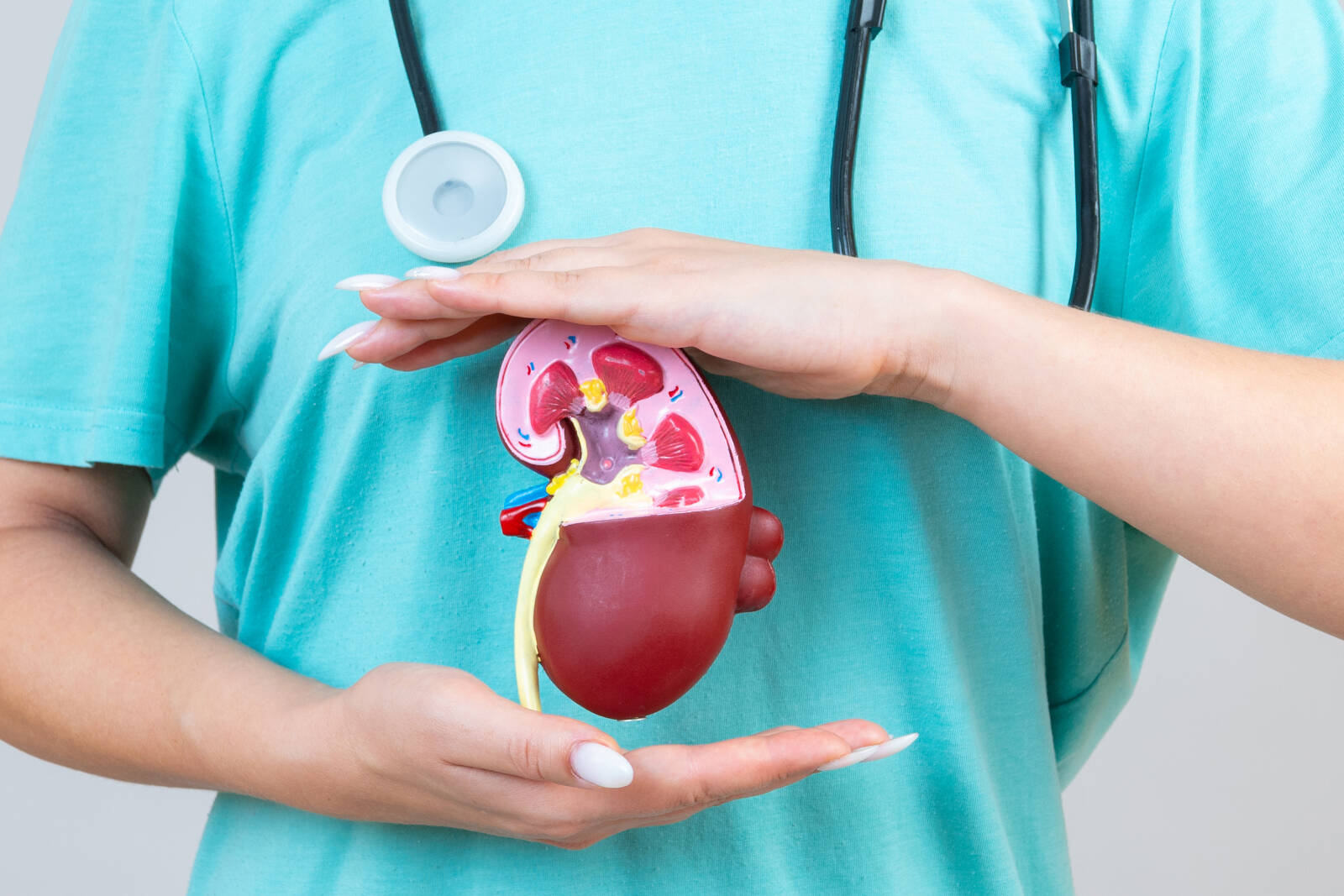 Akutno oštećenje bubrega - bolest savremenog čoveka - Doktok