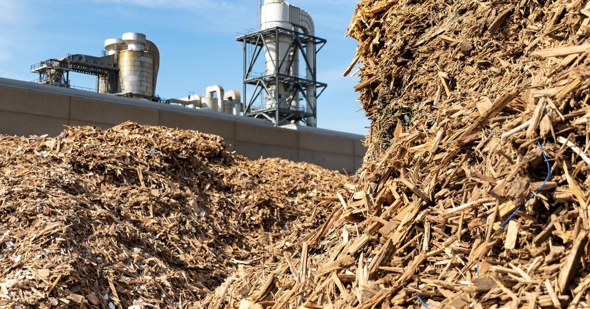 Waste Wood: Advanced sorting drives 70% MDF recycling efficiency | WMW