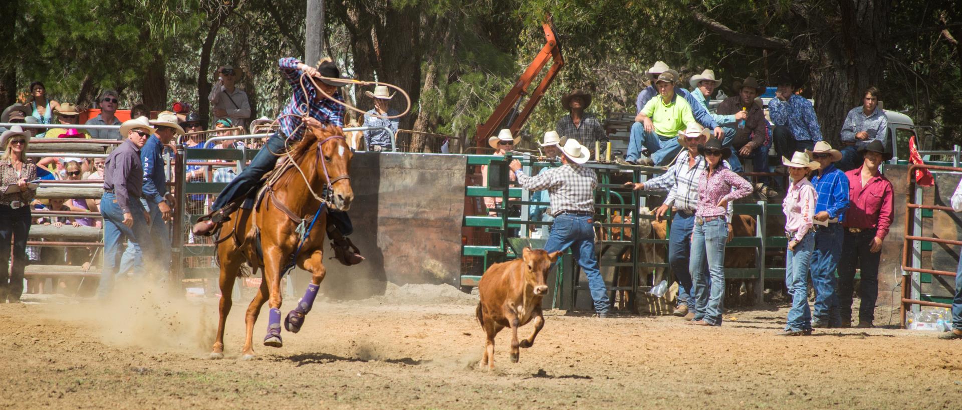 Tickets for Boddington Lions Rodeo 2025 | Fringe Innovations Pty Ltd ...